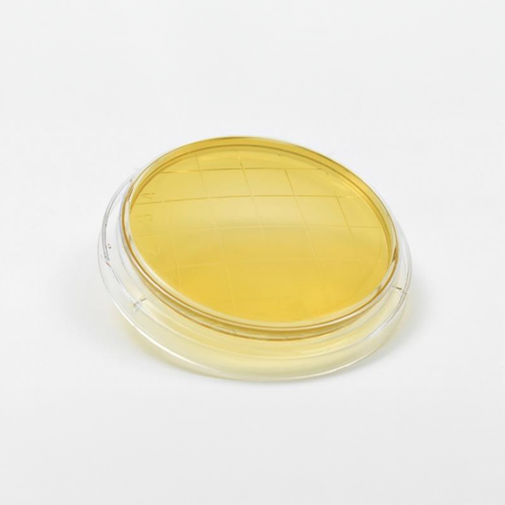 Life Sciences | Pharmaceutical